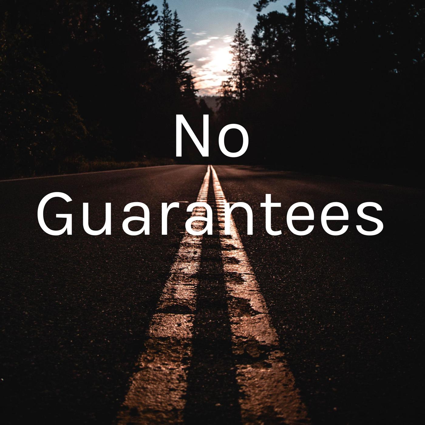 No Guarantees (podcast) - David Birkhahn-Rommelfanger | Listen Notes