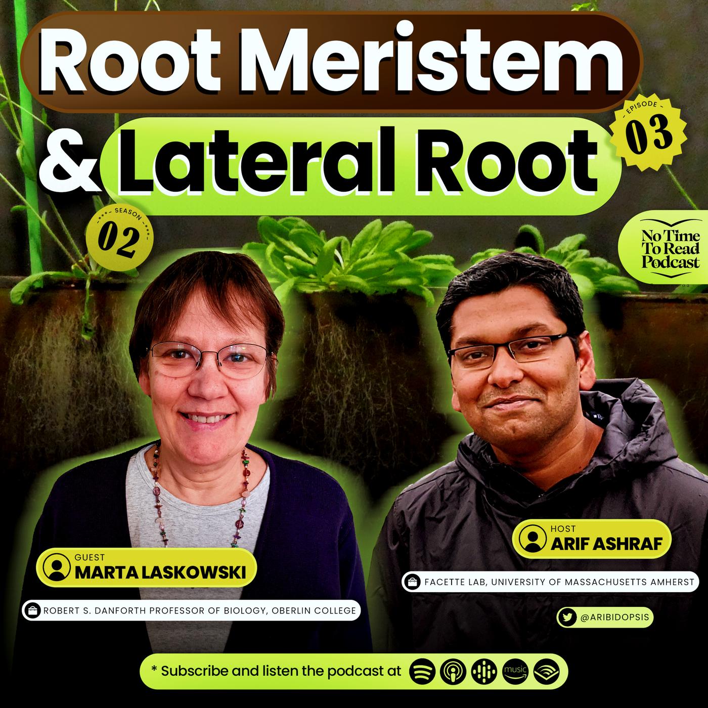 S2E3 | Marta Laskowski | Root Meristem & Lateral Root | Listen Notes