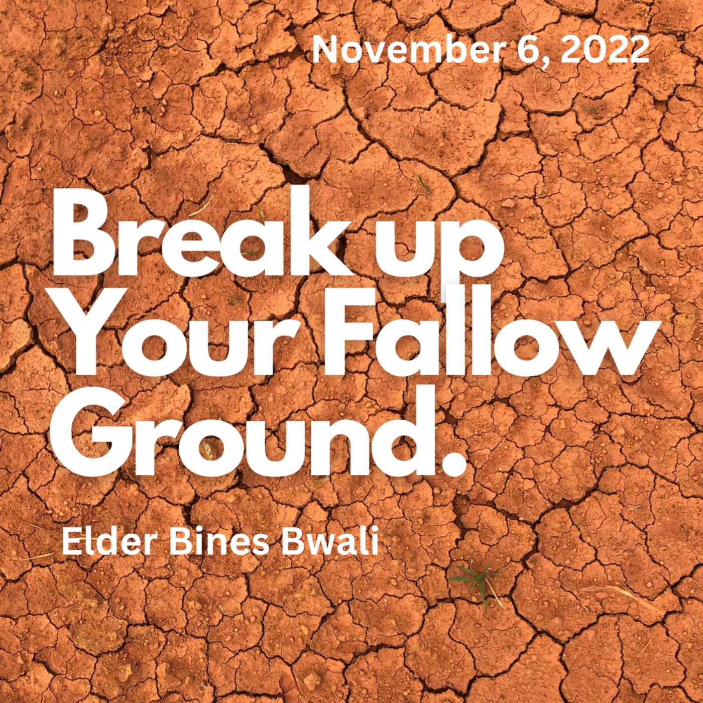 Break Up Your Fallow Ground By Elder Bines Bwali - Northmead Assembly ...