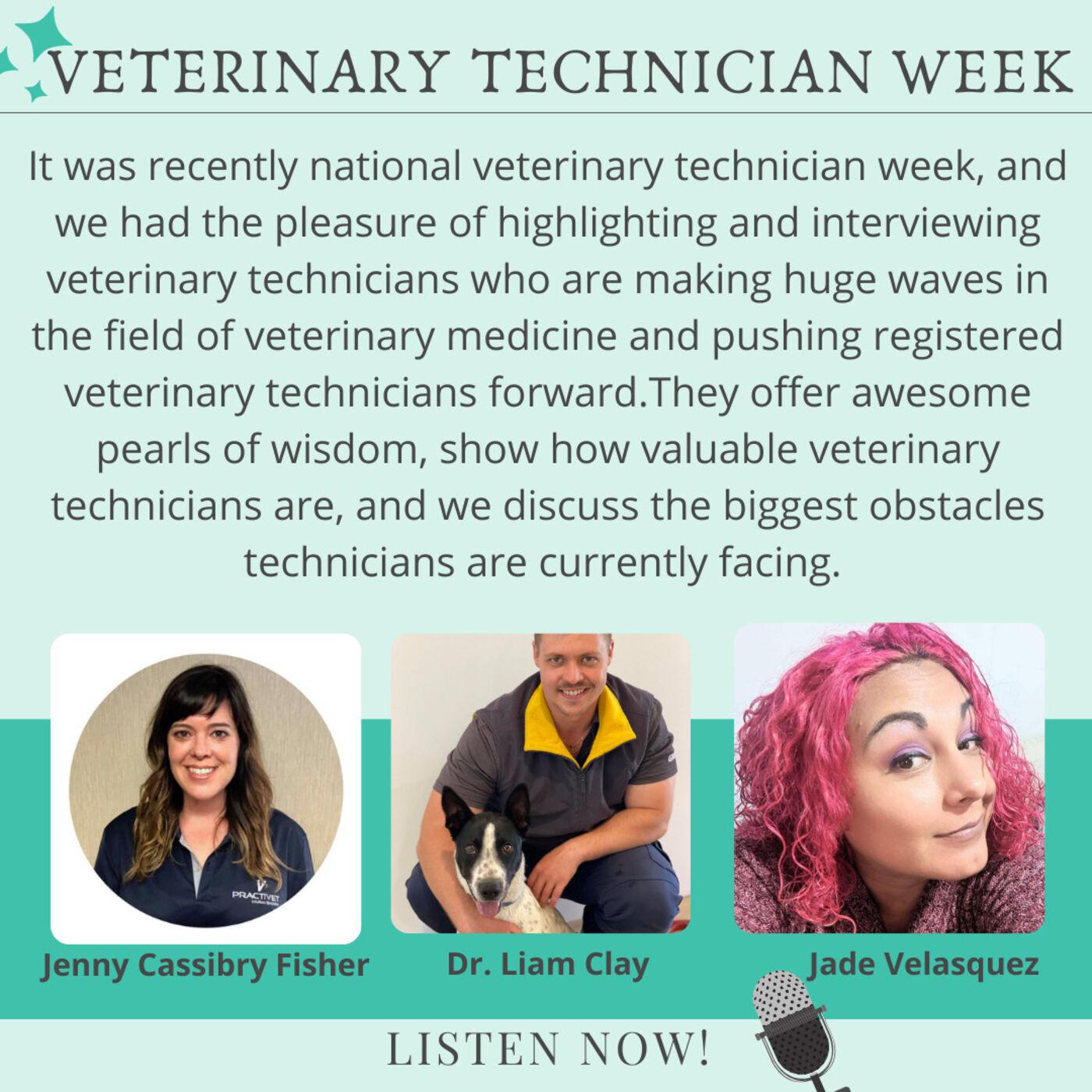 Vet Tech Week Interviews Part 1 - Featuring Jenny Fisher, Liam Clay ...