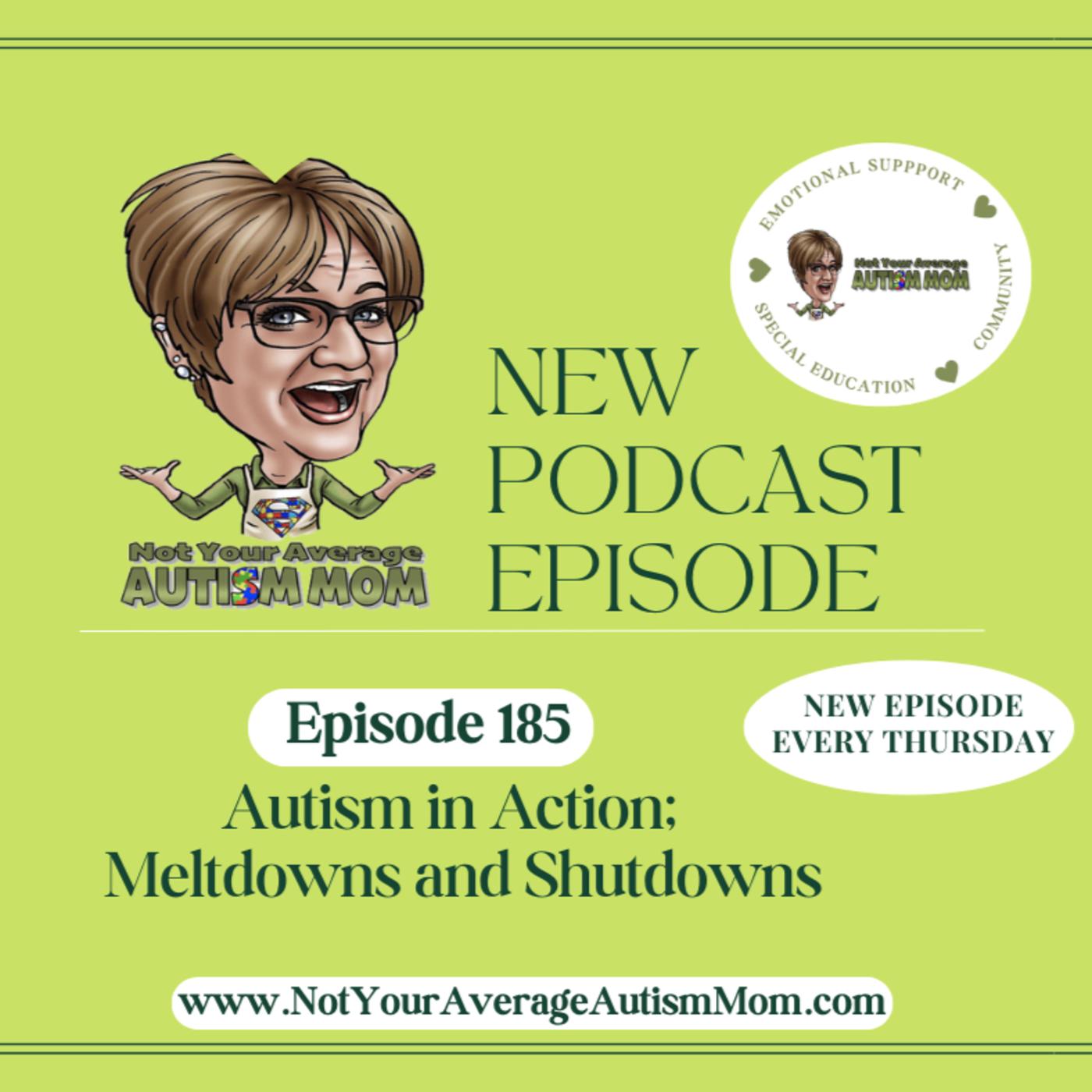 185. Autism in Action; Meltdowns and Shutdowns - Not Your Average ...