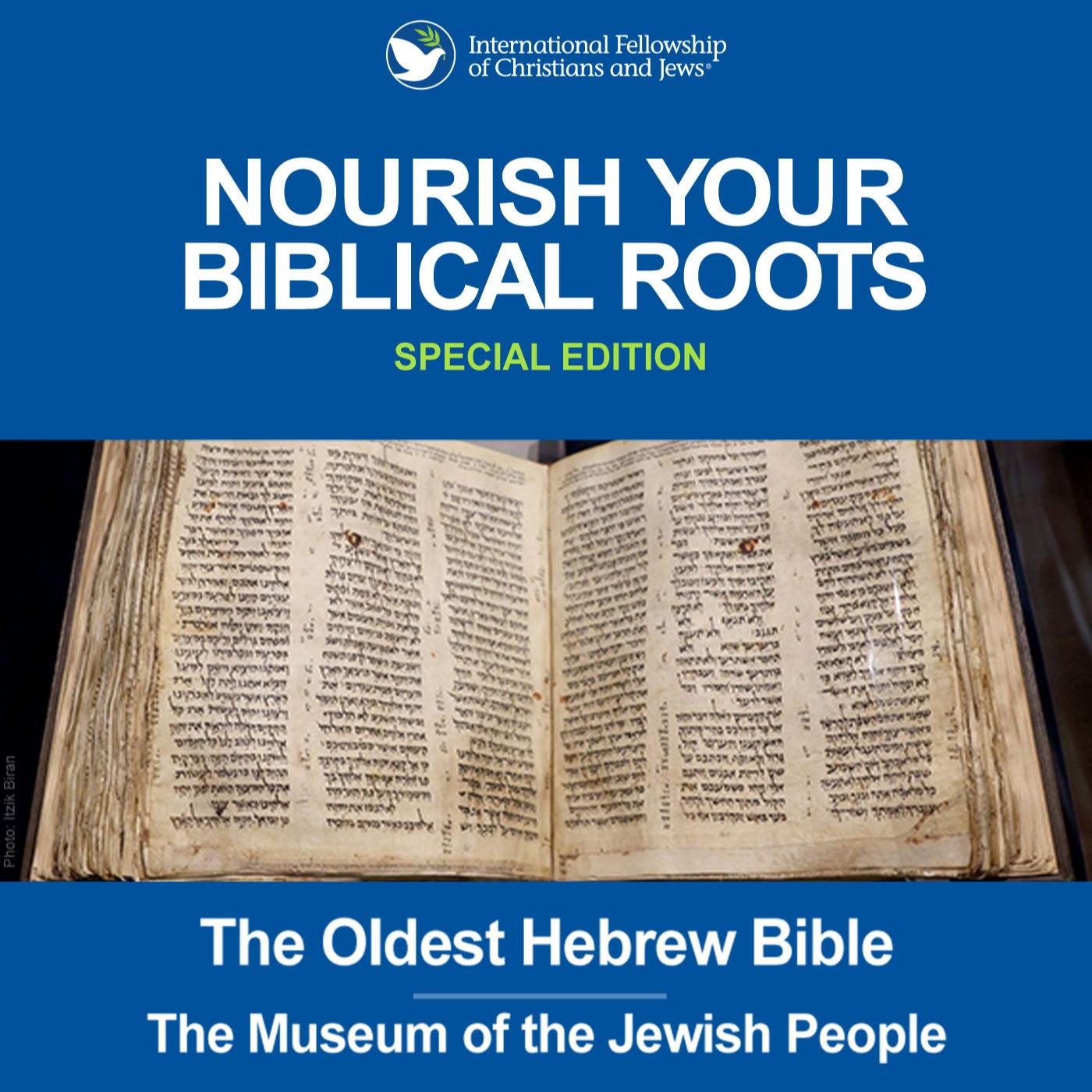 Conversations with Yael Eckstein: Elisha Wiesel — Why We Must ‘Never ...