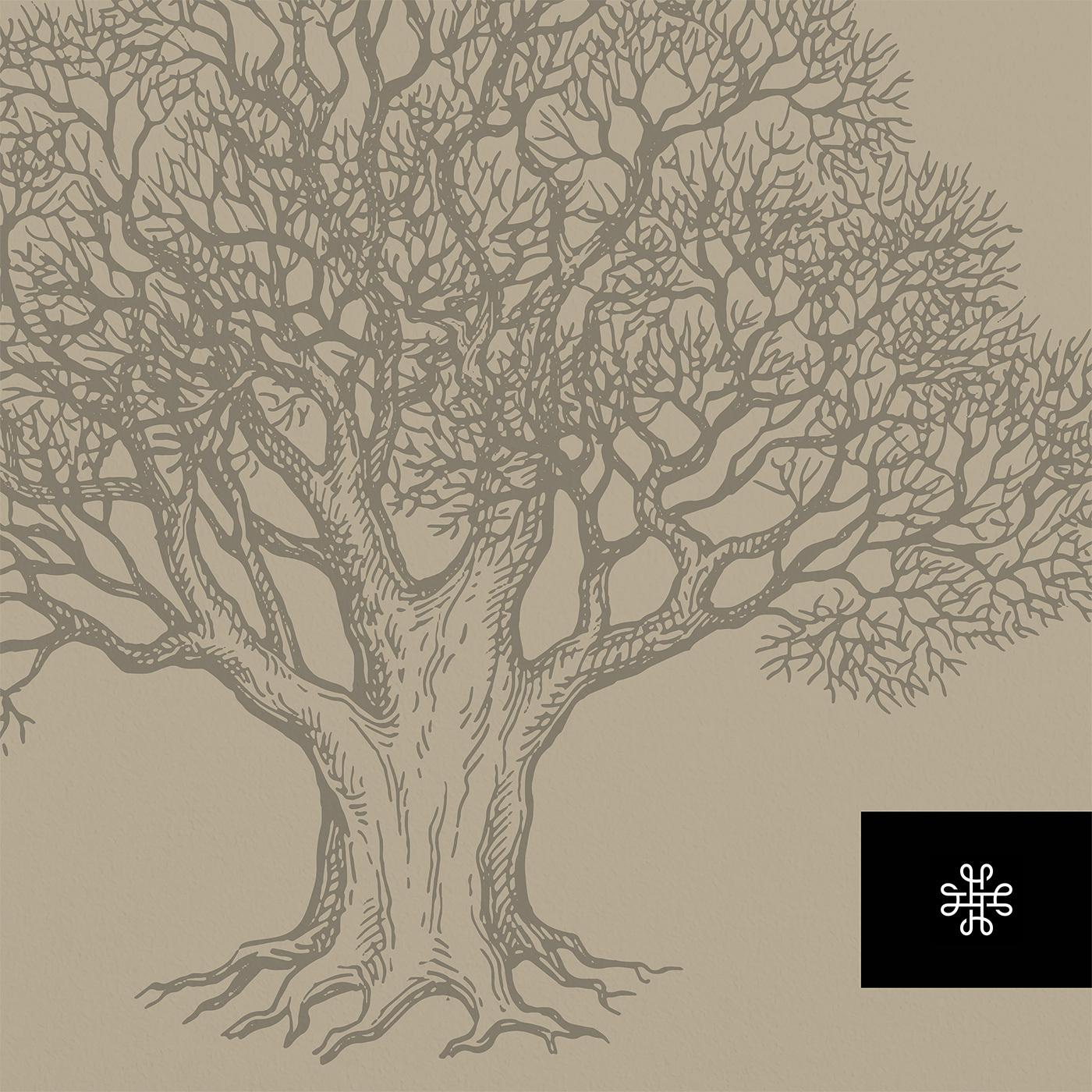 A Growing Hatred for Sin - Oaks Church Sermons (podcast) | Listen Notes