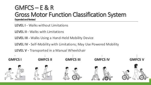 Gross Motor Function Classification System (GMFCS) - Occupational Therapy Insights (pódcast ...