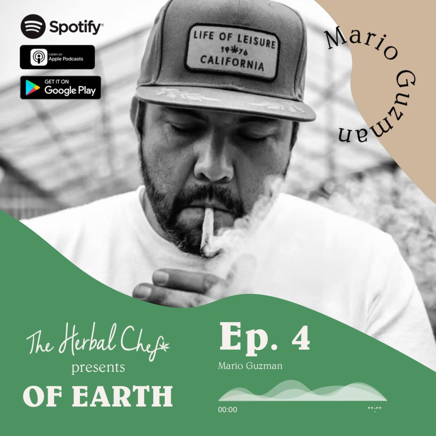 OF EARTH by The Herbal Chef | Ep.9 - Sean MacDonald | Head Chef ...