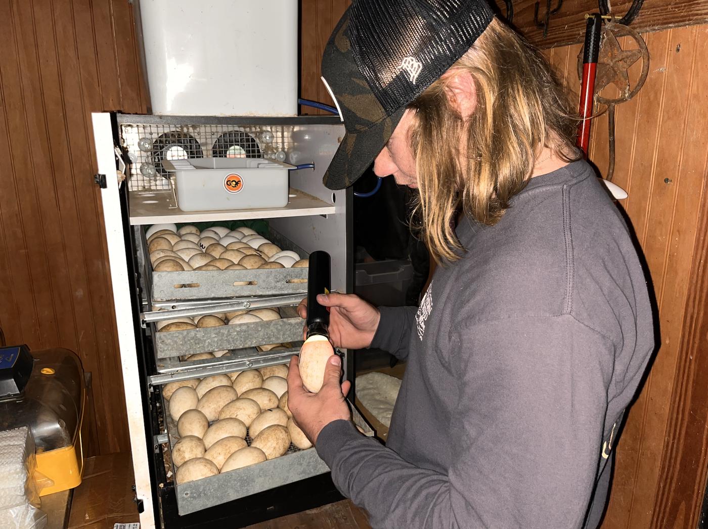OFI 1903: 18 Wheels And A Dozen Acres | FFA SAE Edition | Matthew ...