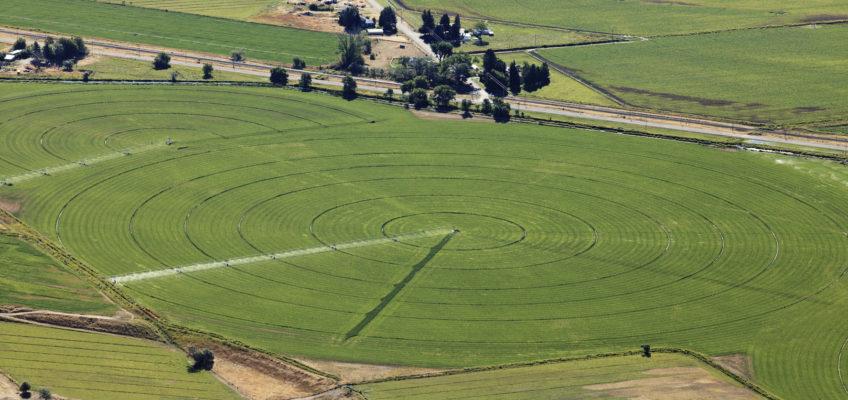 OFI 1903: 18 Wheels And A Dozen Acres | FFA SAE Edition | Matthew ...