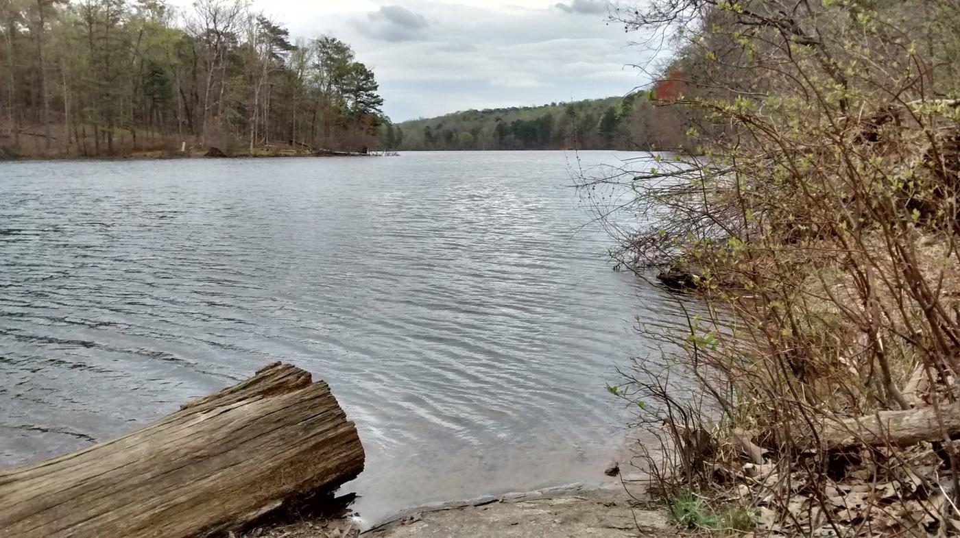 Daily Bible Reading - Wednesday, February 7 - One Year Bible Podcast ...