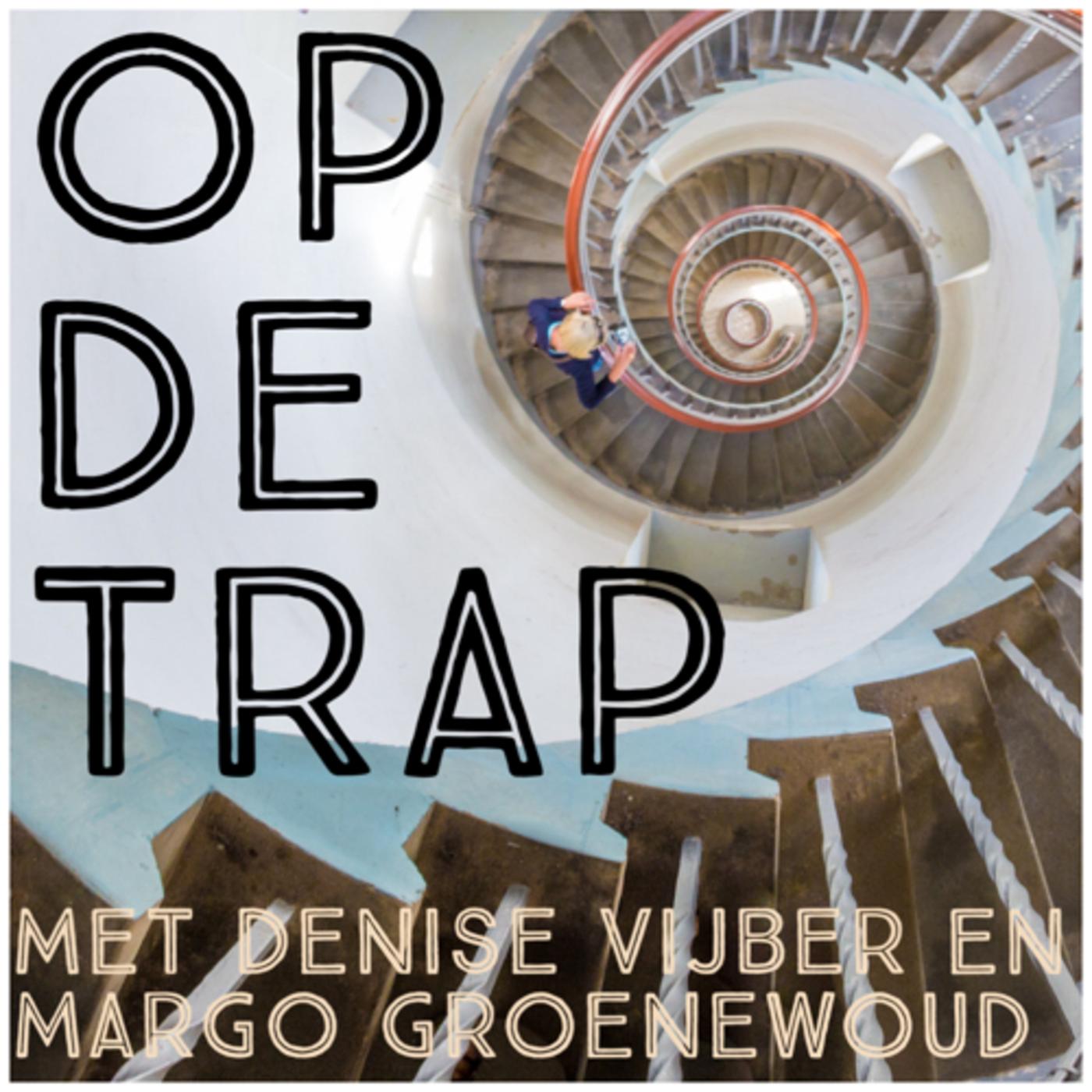 Op de trap S2E2 - Gershwin Bonevacia - Op de trap (podcast) | Listen Notes
