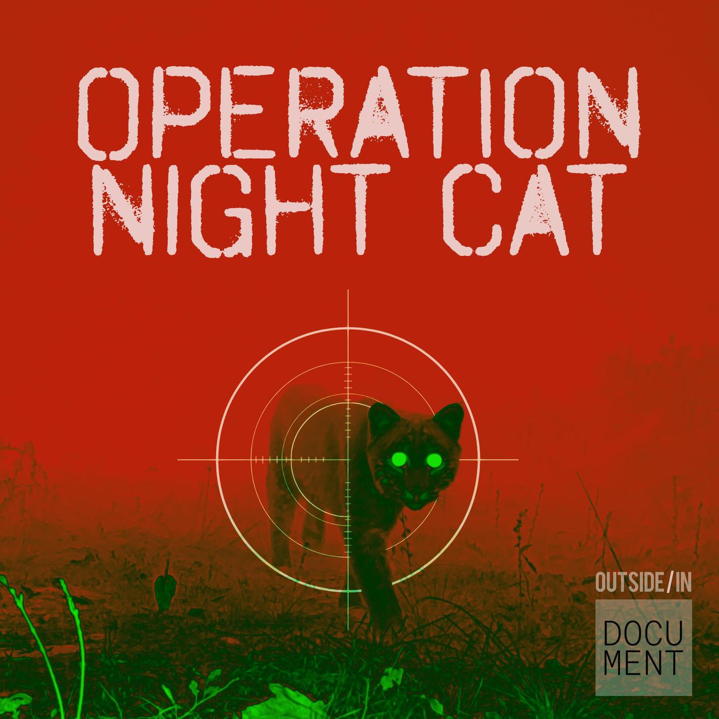 3: A Duck’s a Duck - Operation Night Cat (podcast) | Listen Notes