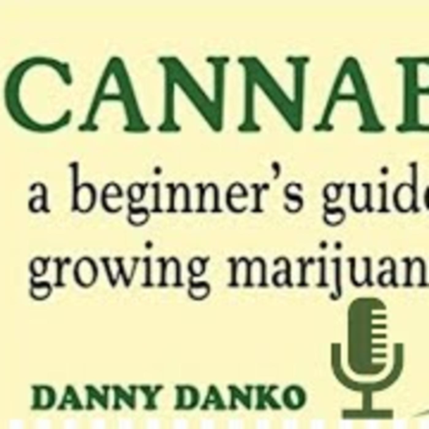 Danny Danko Reveals Secrets of Growing Top-Notch Cannabis | Exclusive ...