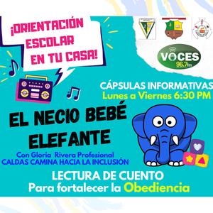 Lectura de cuento: El necio bebé elefante 🐘 - Orientación Escolar En ...