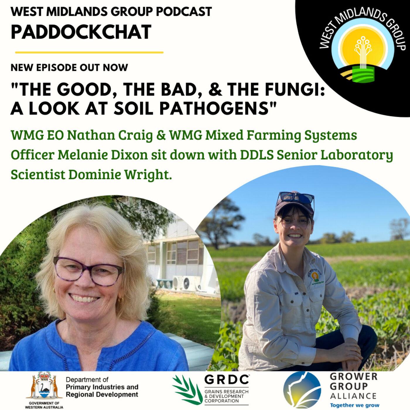 The Good, The Bad, & The Fungi: A look at Soil Pathogens | Listen Notes