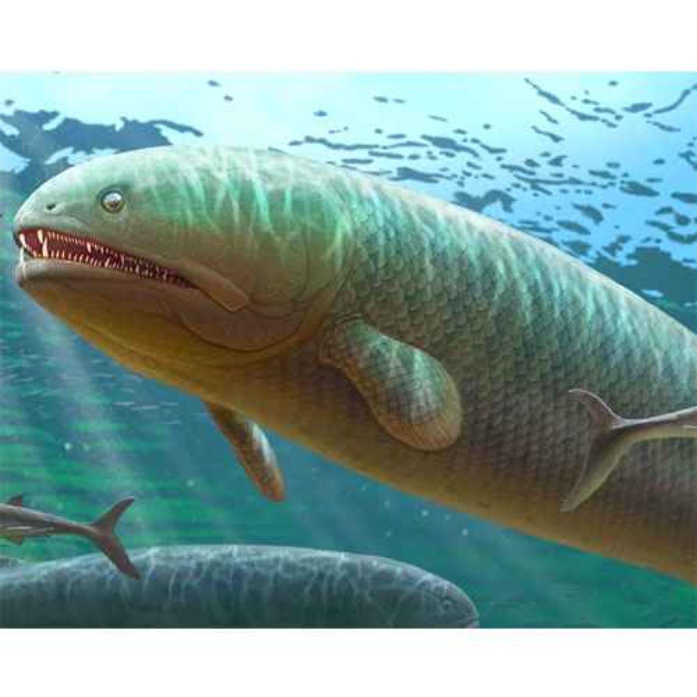 Anzu, the Mesopotamian Bird Demon - Paleo Bites (podcast) | Listen Notes
