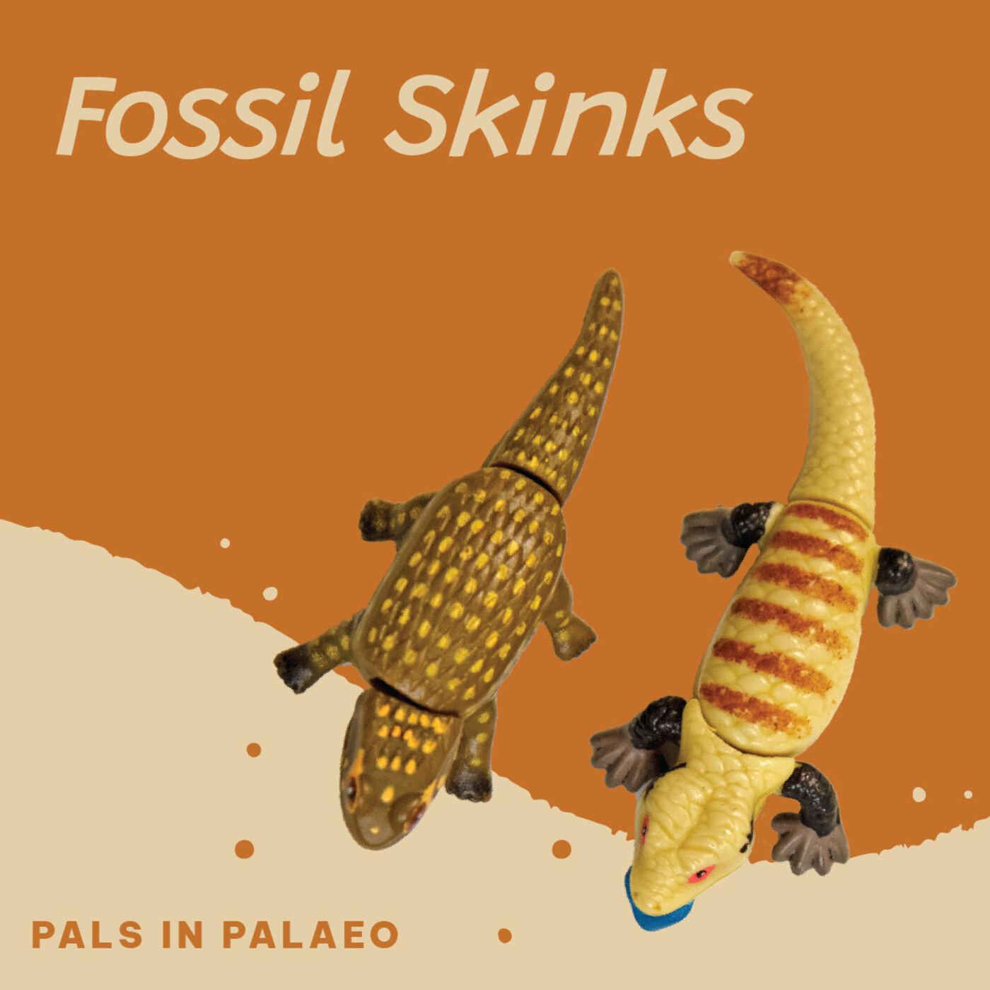 16. Fossil Eagles and Vultures with Ellen Mather - Pals in Palaeo ...