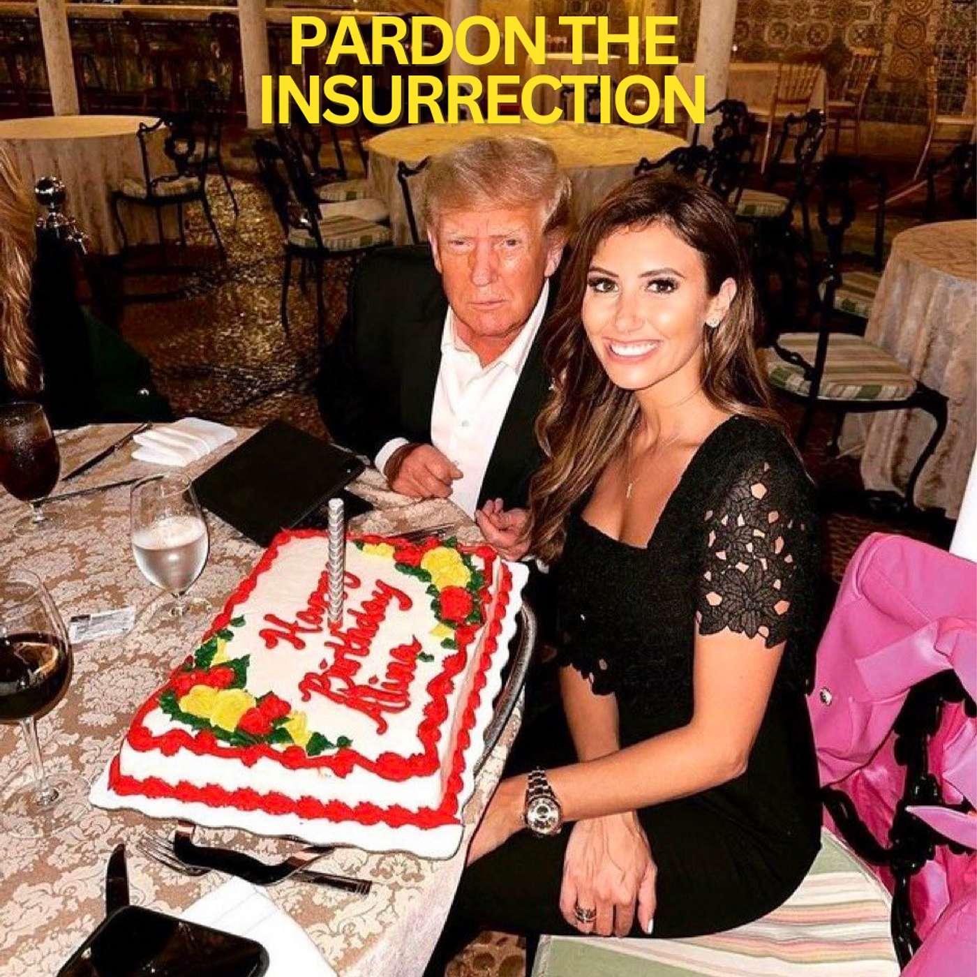 A Stern Rebuke For Melania's Birthday - Pardon The Insurrection ...