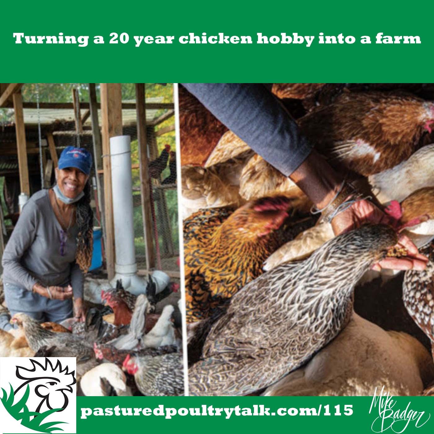 Turning a 20 year chicken hobby into a farm with Cynthia Capers ...