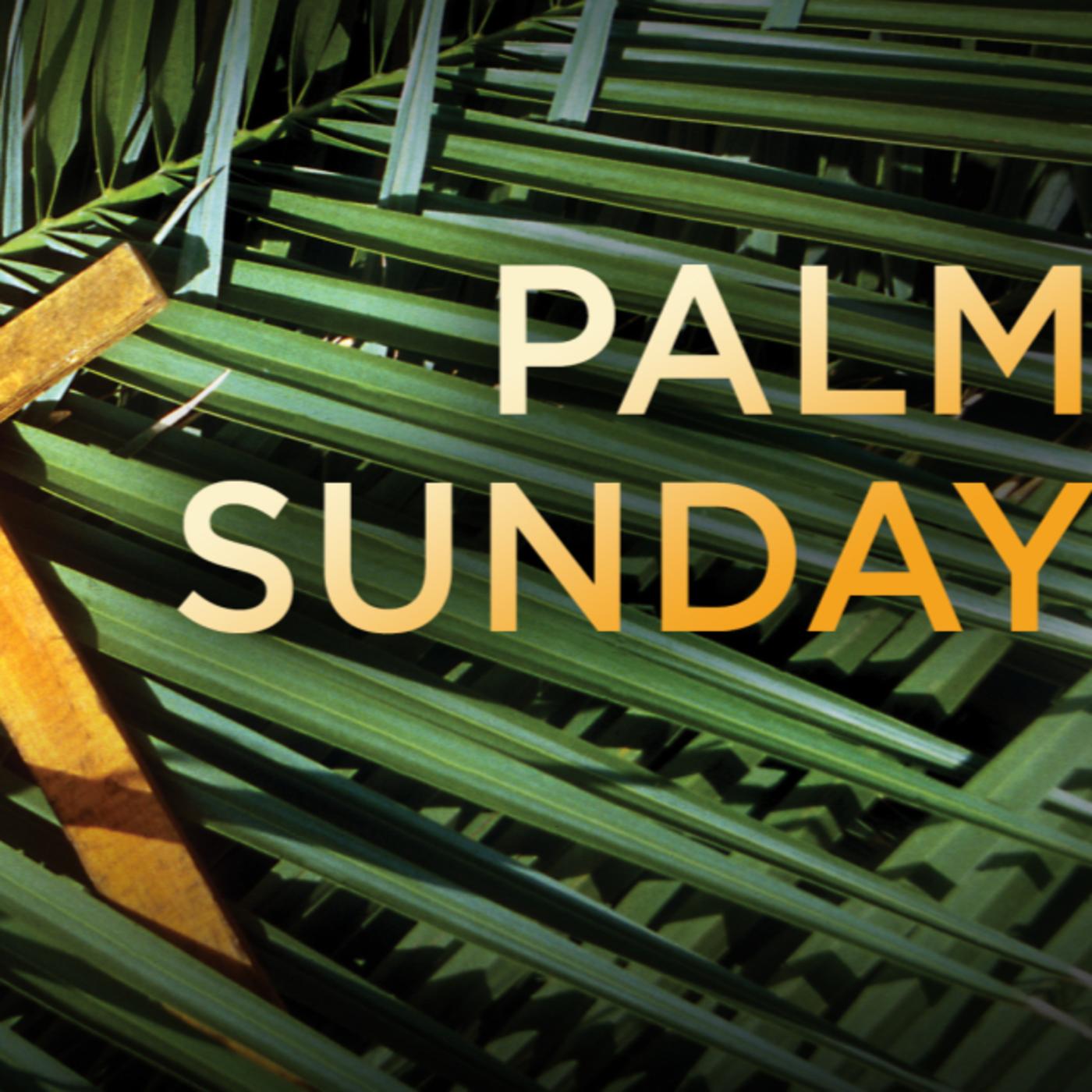 Palm Sunday | Who Is The King? | Pastor Rob Haslam - Pathway Community ...