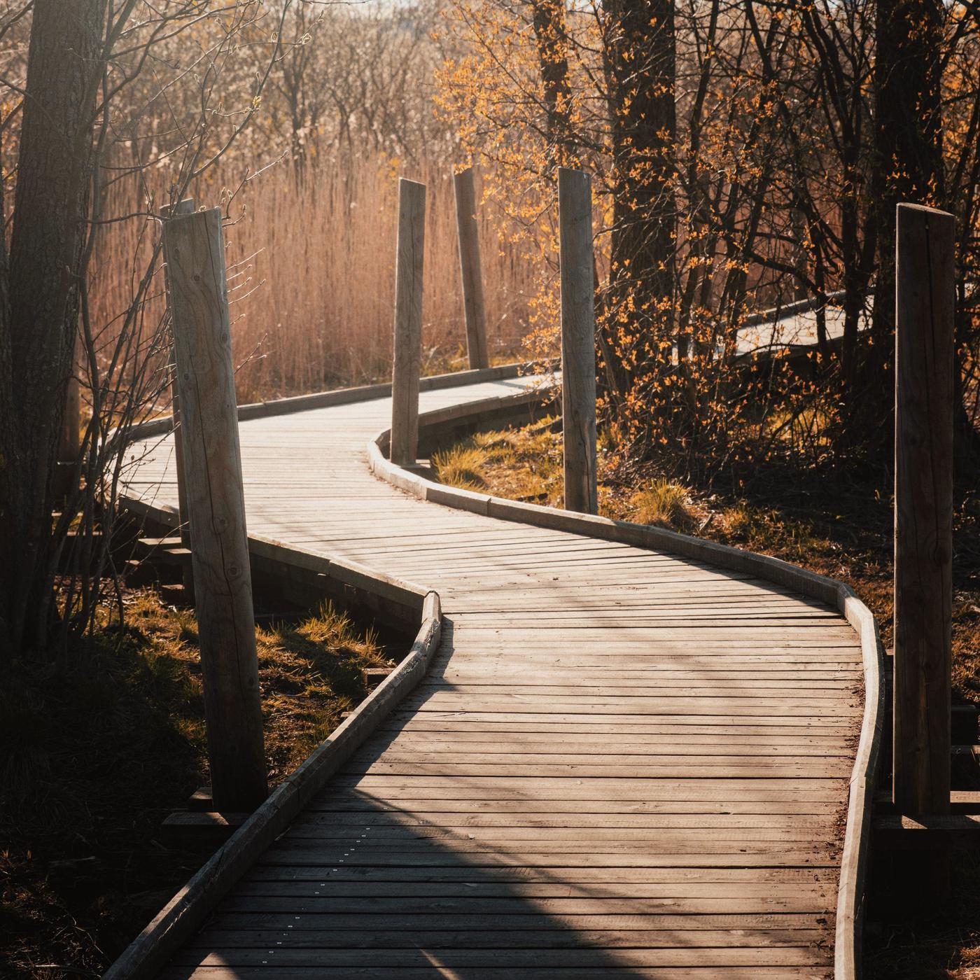 Pathways to a Creative Life: Introduction - Pathways to a Creative Life ...