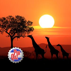 From AC/DC Origins to Aztec Sacrifices - December Trivia Special ...