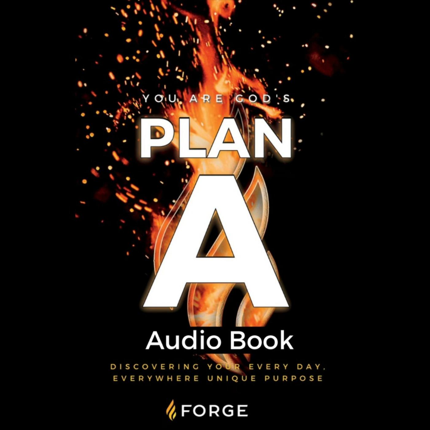Chapter 6 - Plan A Audio Book - You are God's Plan A: Discovering Your ...