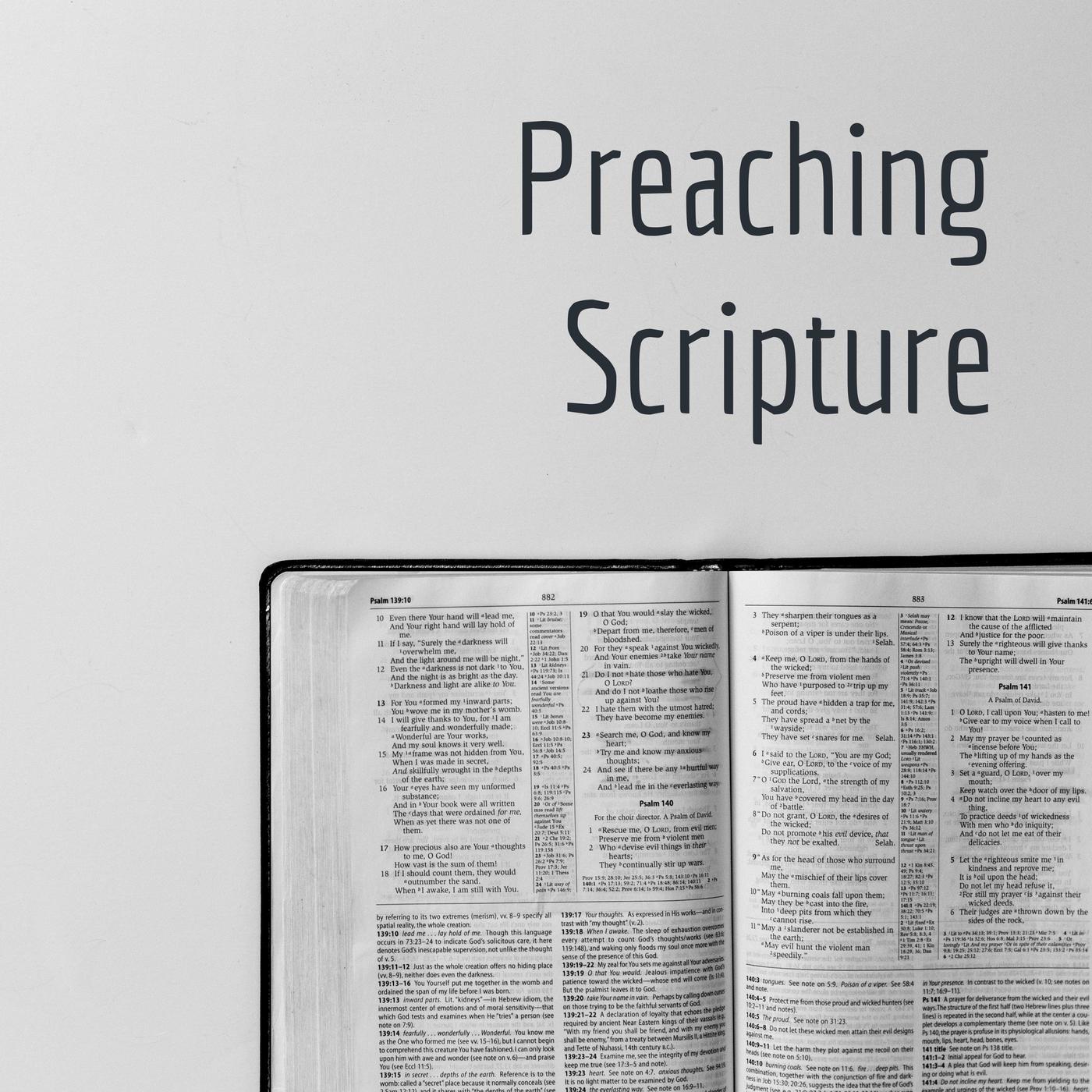 A Shepherd Encourages His Sheep Part 2 - Preaching Scripture (podcast ...