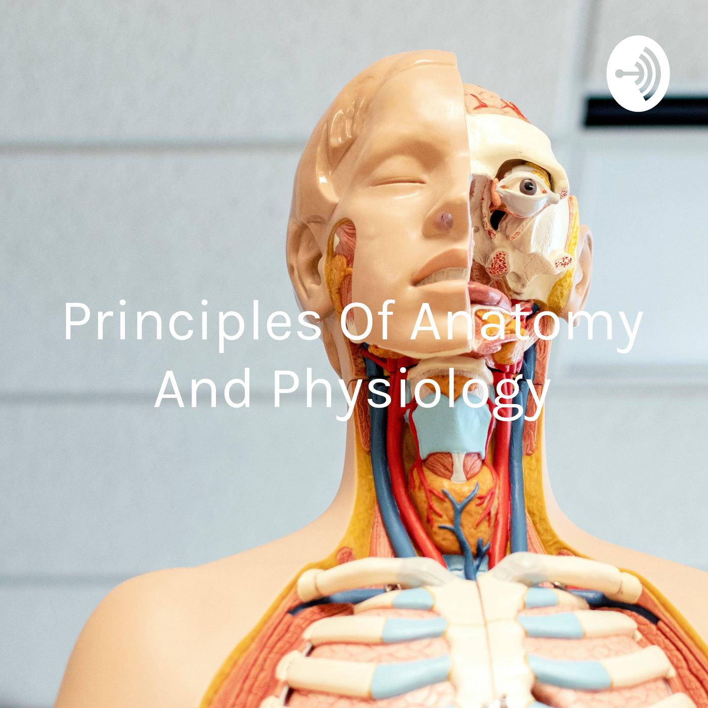 Principles Of Anatomy And Physiology: Introduction To The Human Body ...