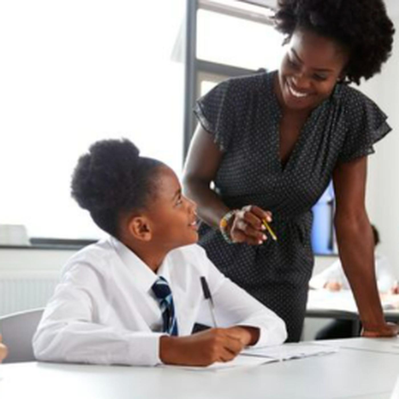 Top Private School DEI Educational Consultant Supporting K-12 Black And ...
