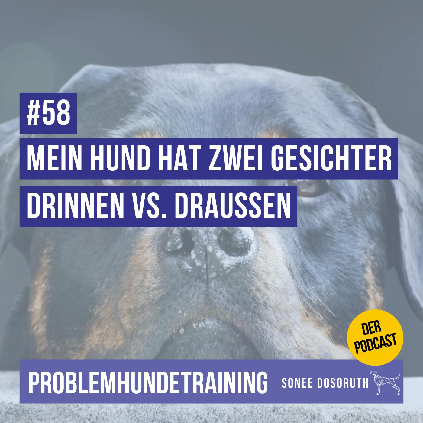 Mein Hund hat zwei Gesichter: Drinnen vs. Draussen ...