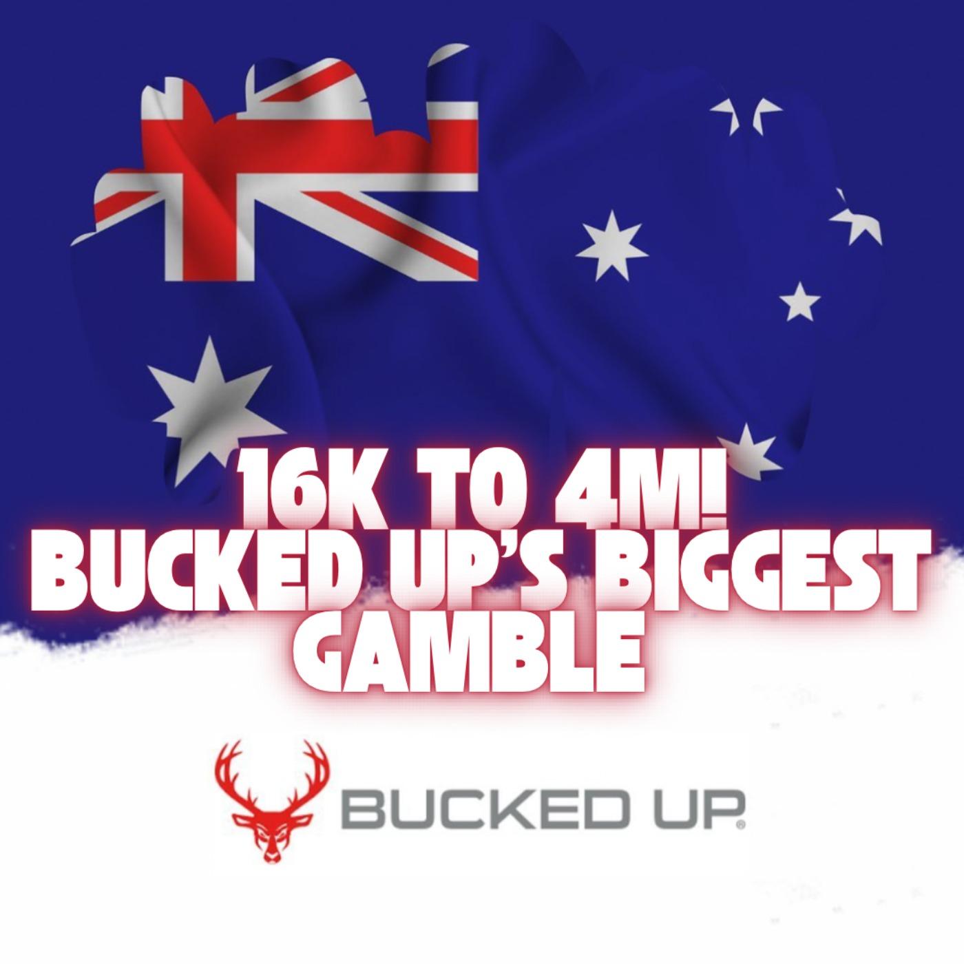16K to $4M! Bucked Up’s Biggest Gamble - Proper True Yarn (podcast ...
