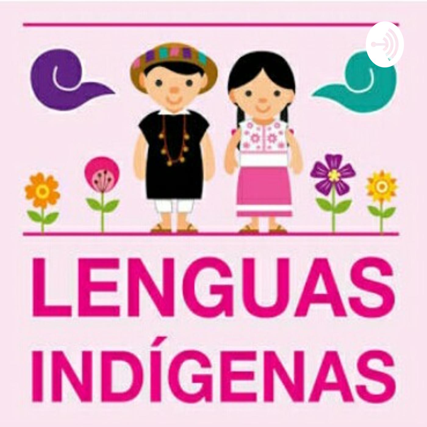 Propuestas para fomentar la inclusión y evitar la Discriminación de ...