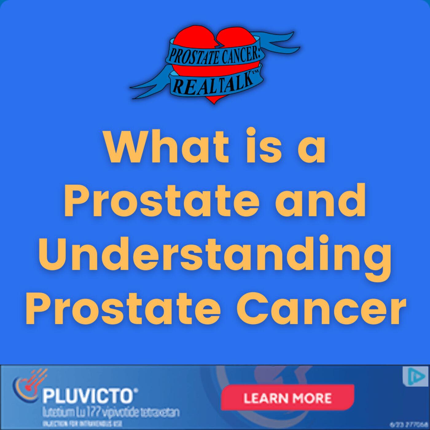What is a Prostate and Understanding Prostate Cancer | Listen Notes