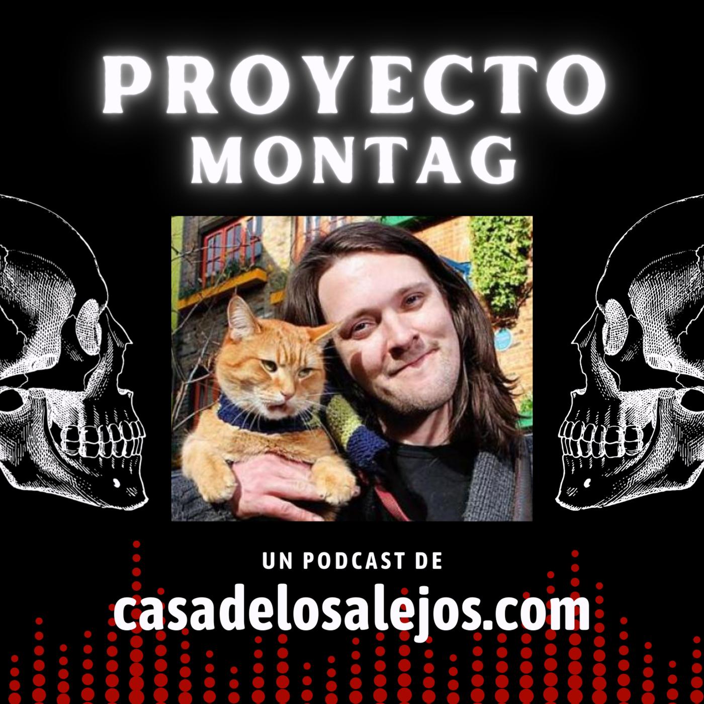 ¿Qué pasó con James Bowen después de la muerte de su gato Bob ...