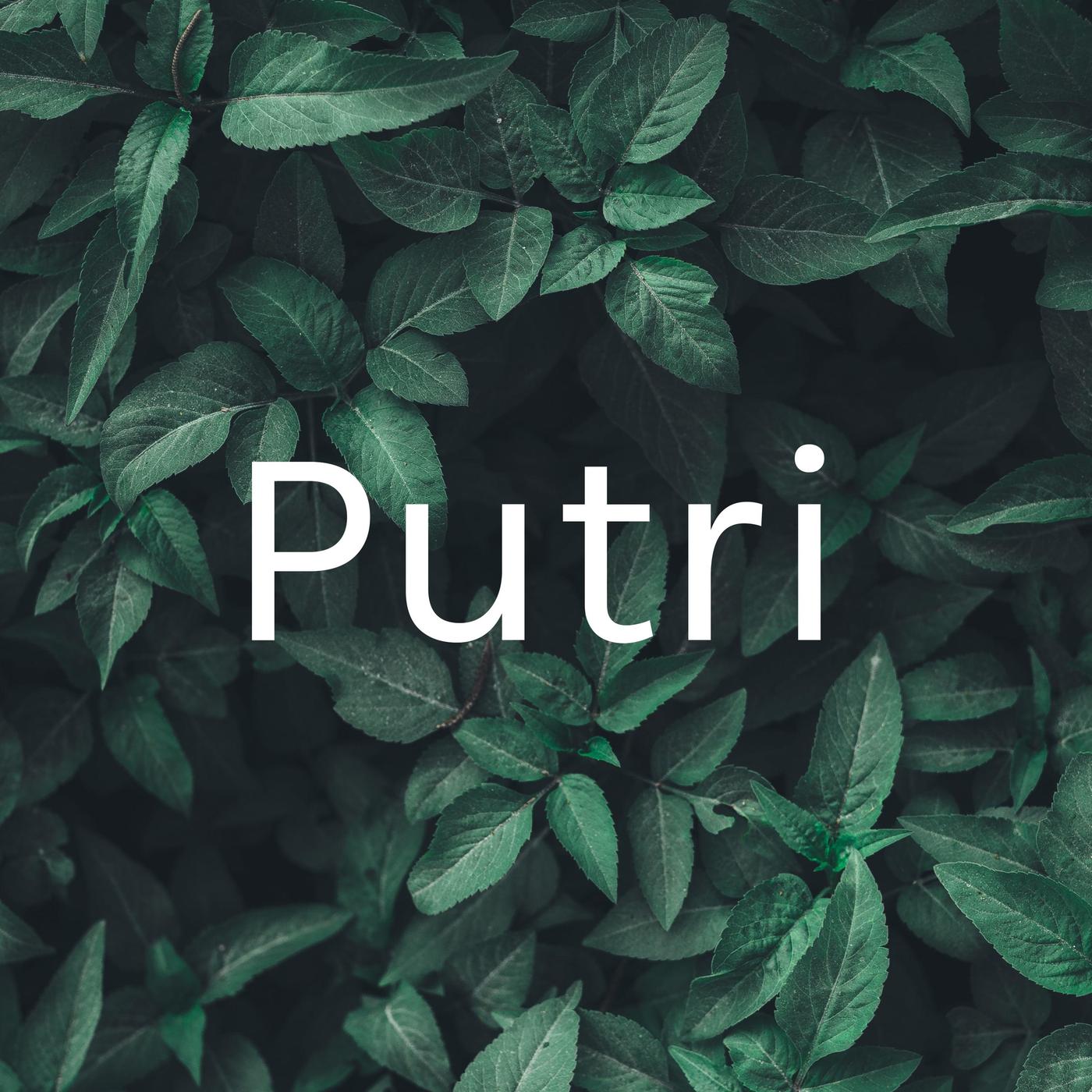 Putri (podcast) - Annisa Putri Permana | Listen Notes