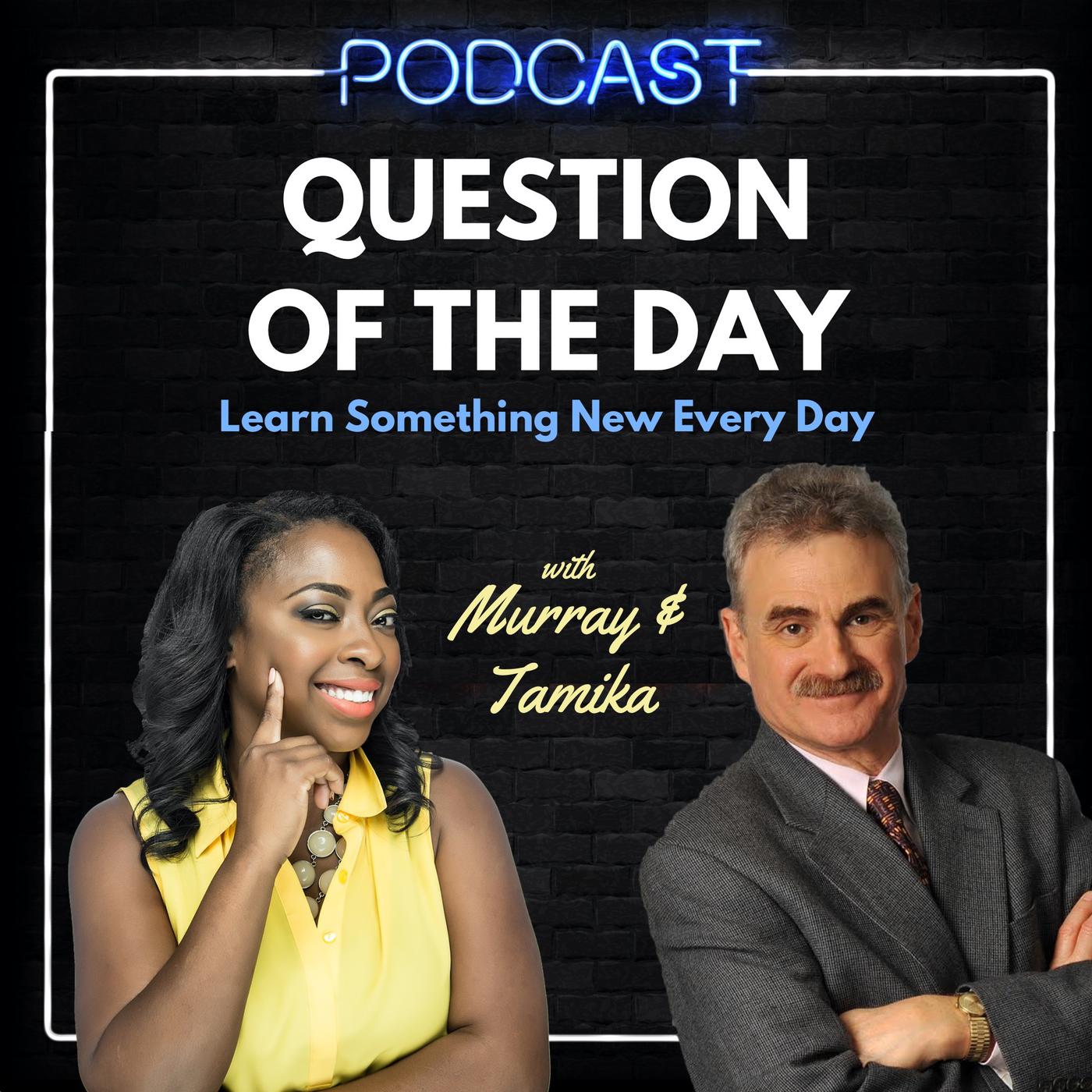 The Hunger Games - Question of the Day (podcast) | Listen Notes