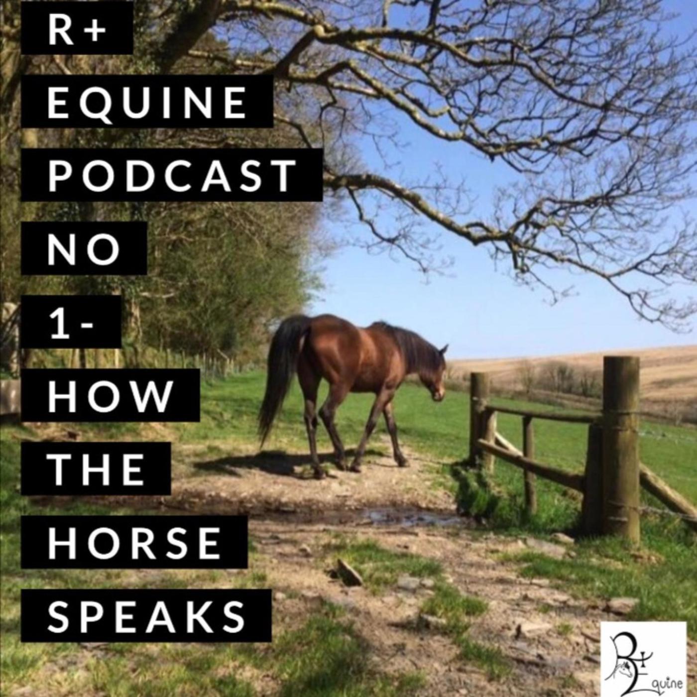 R+ Equine-How the horse speaks (podcast) - claire bruff | Listen Notes