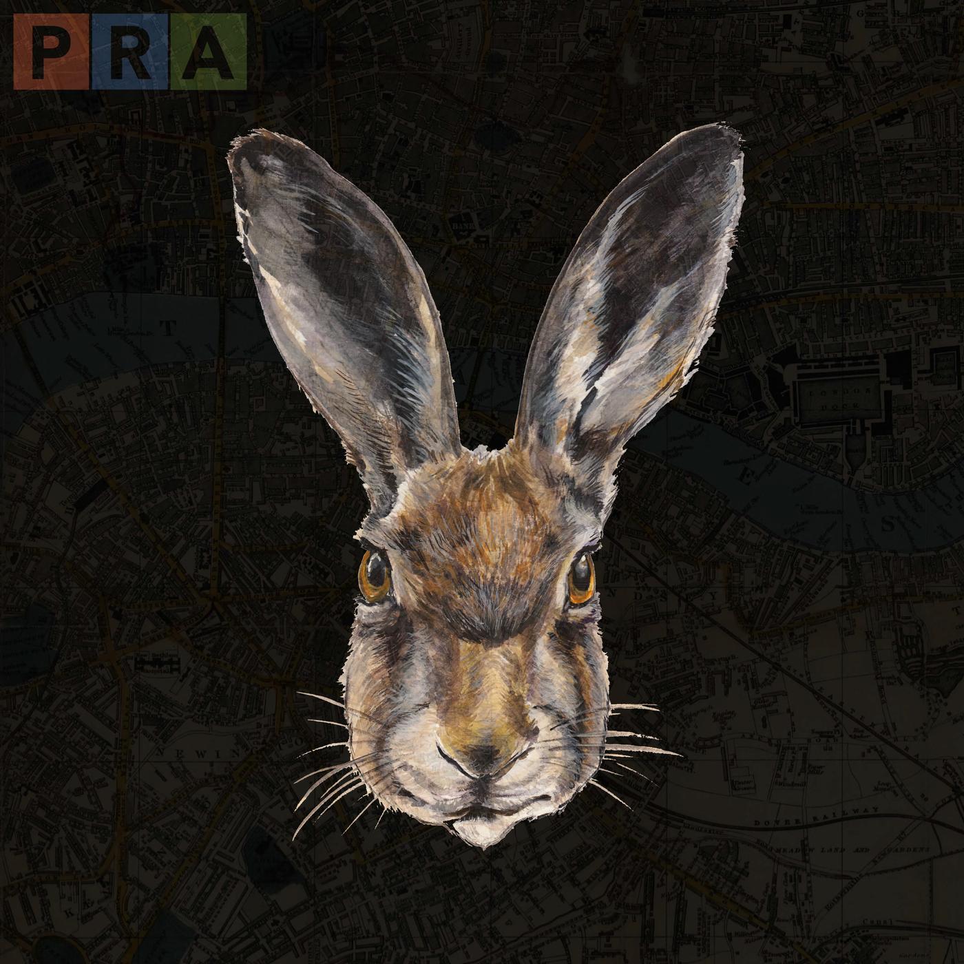 Rabbits (podcast) - Terry Miles | Listen Notes