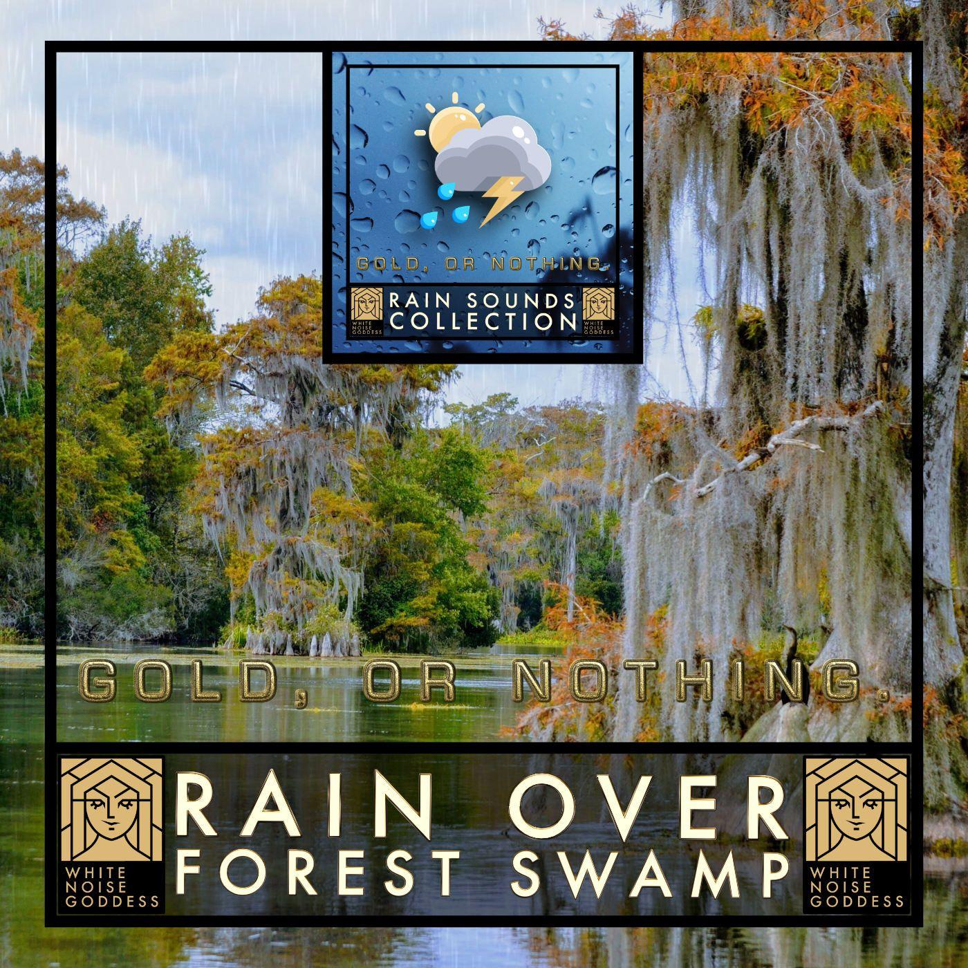 Splashes Of Rain | 1 Hour Rain Ambience | Relax | Meditate | Sleep ...