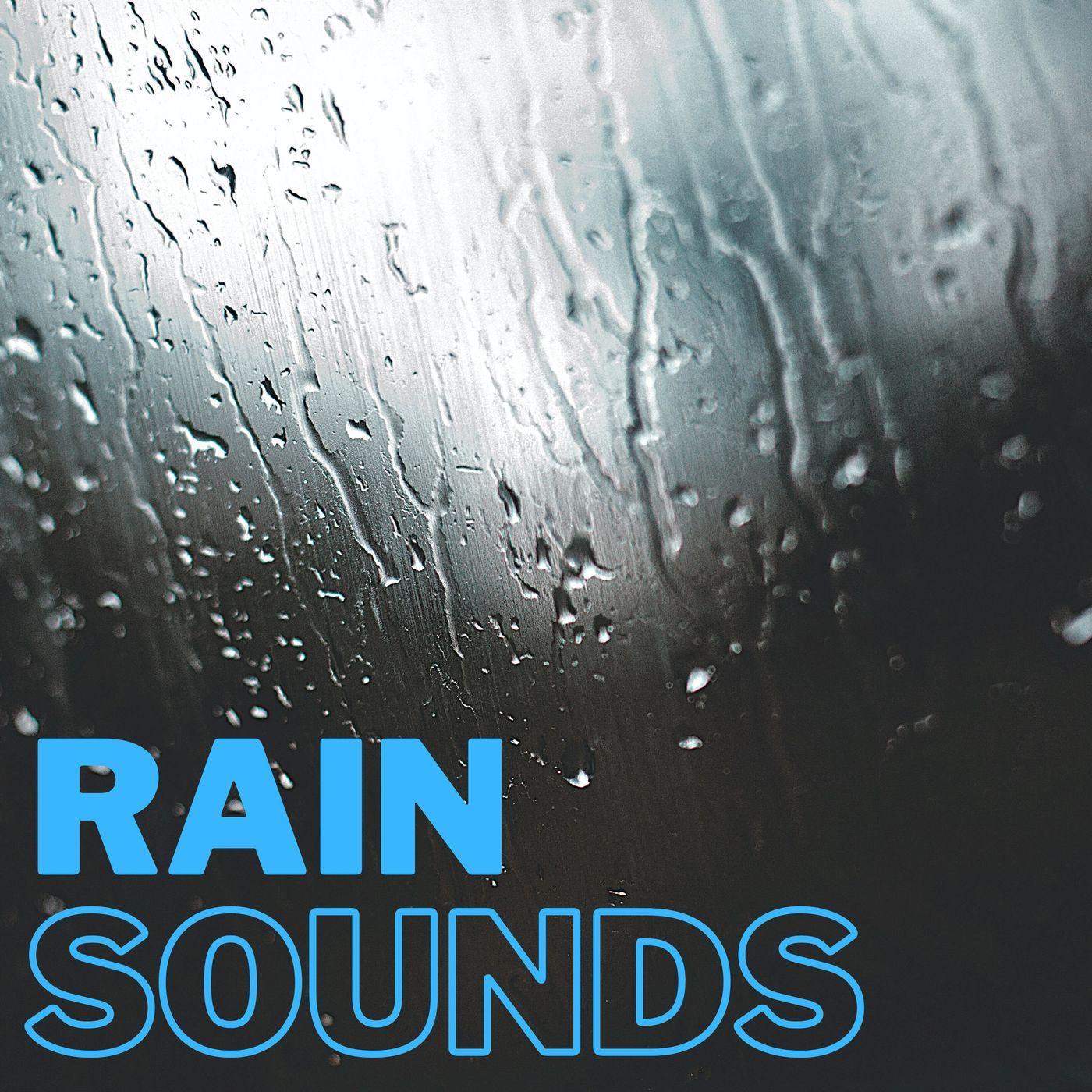 Relaxing Rain - 10 Hours for Sleep, Meditation, & Relaxation | Listen Notes