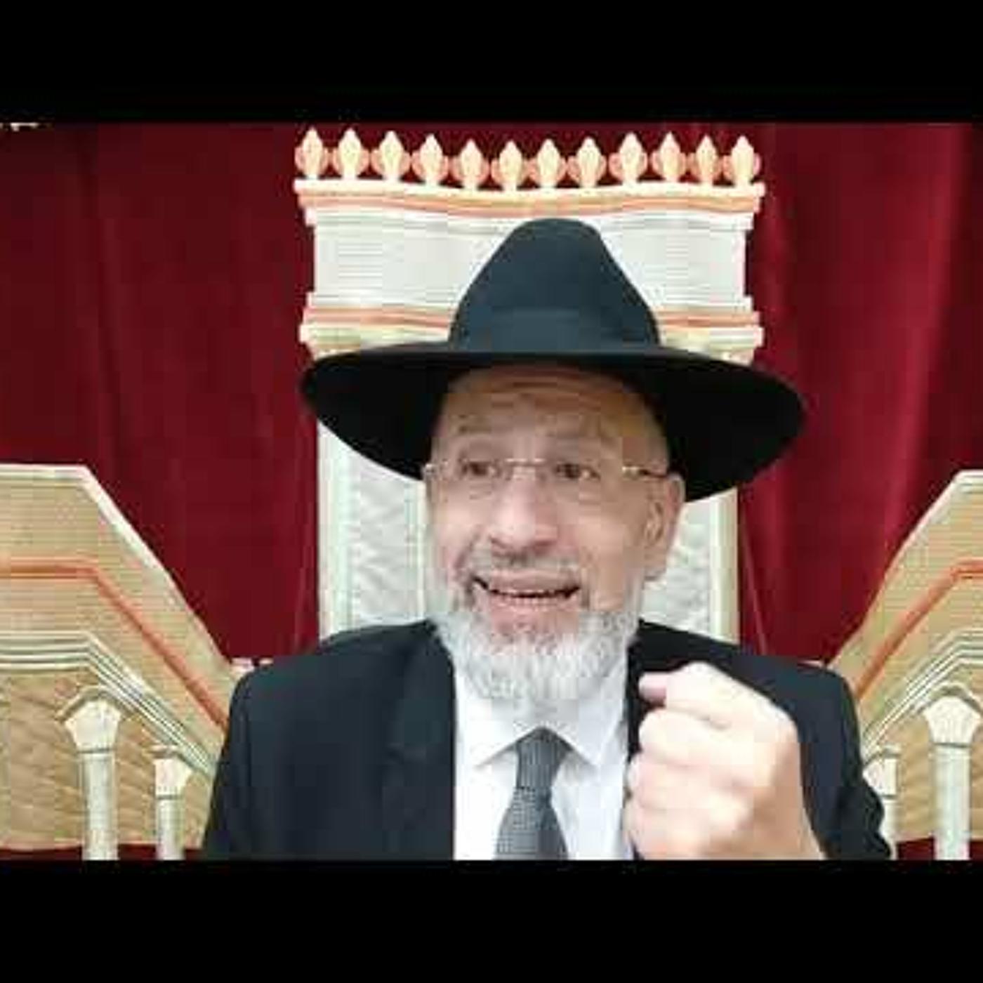 Paracha Noa'h - Lutter contre D. - Rav David Touitou (podcast) | Listen ...