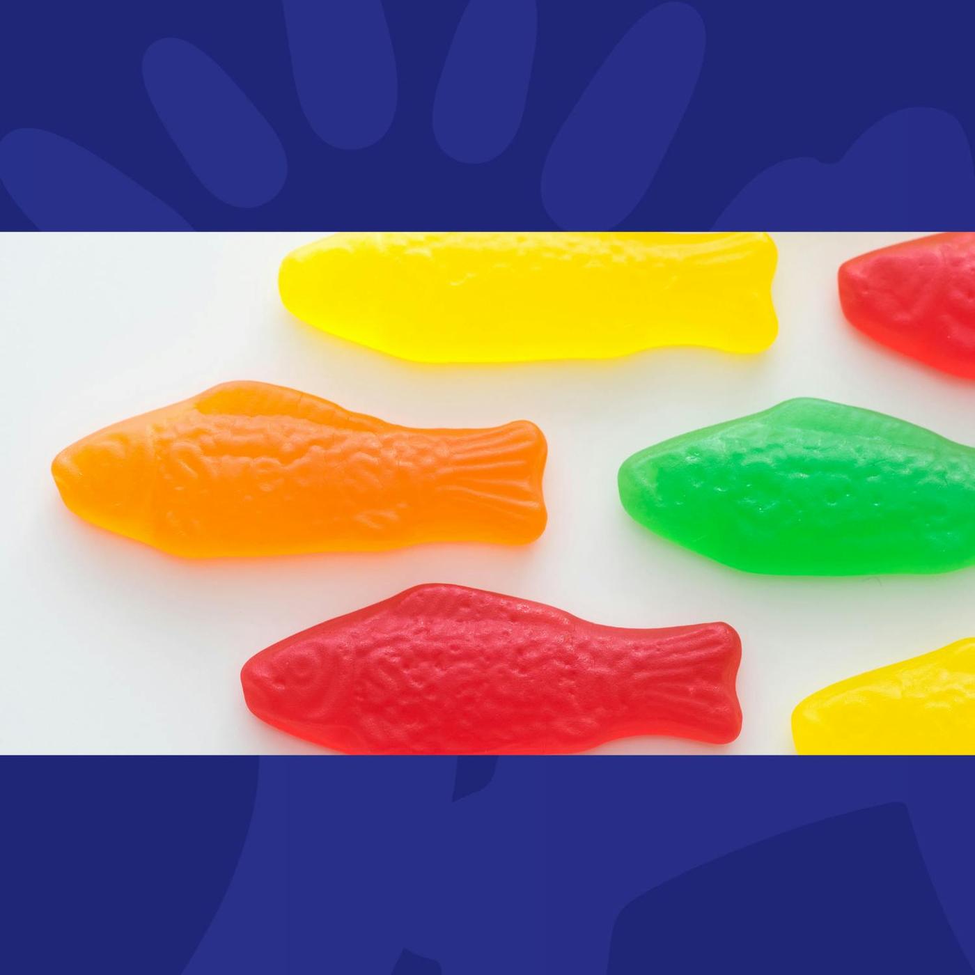 It's Official: There Are Swedish Fish In Donegal! - Ray Foley (podcast ...
