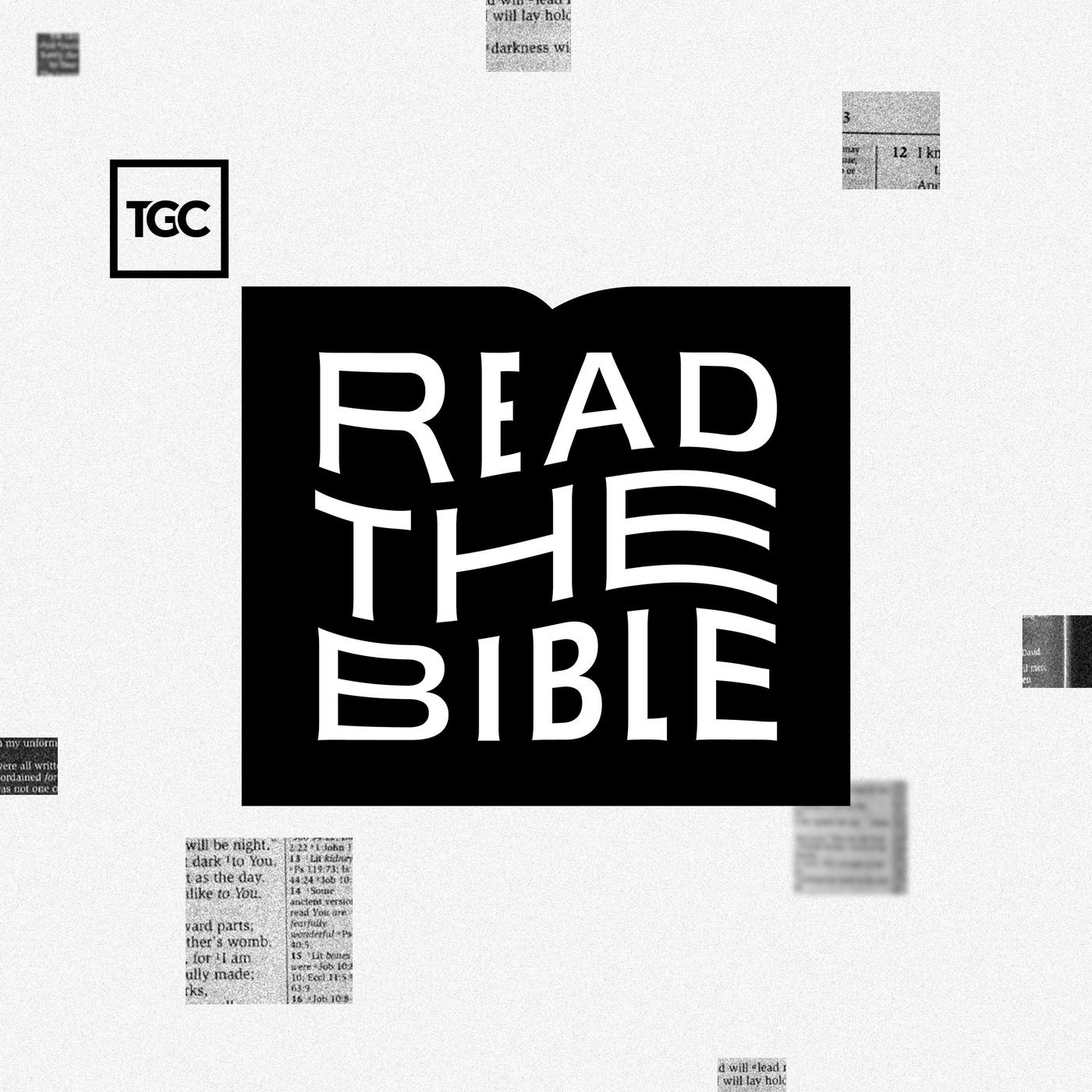 Deut. 10; Psalm 94; Isaiah 38; Revelation 8 - Read The Bible (podcast ...