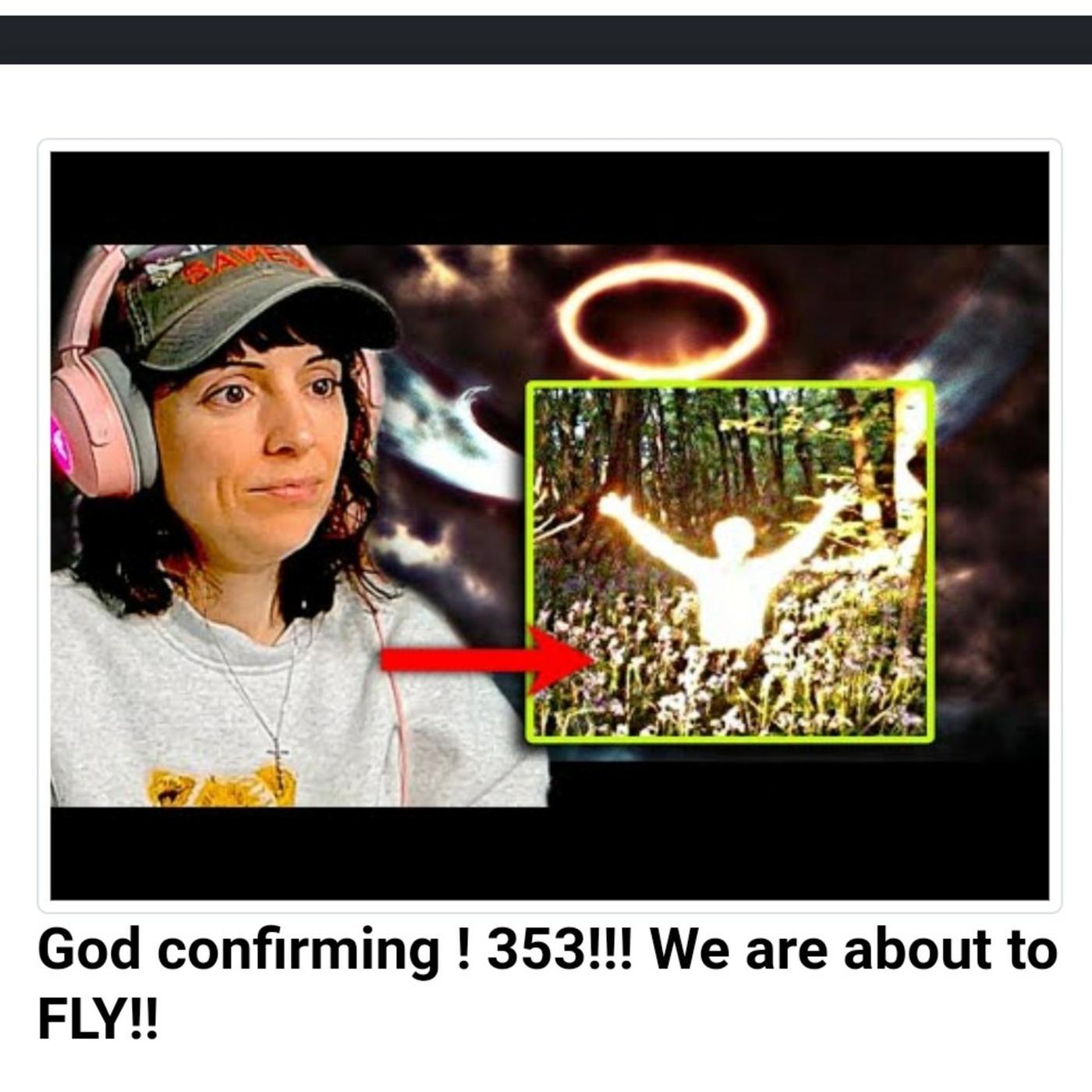 God confirming ! 353!!! We are about to FLY!! - Redesigning Destiny ...