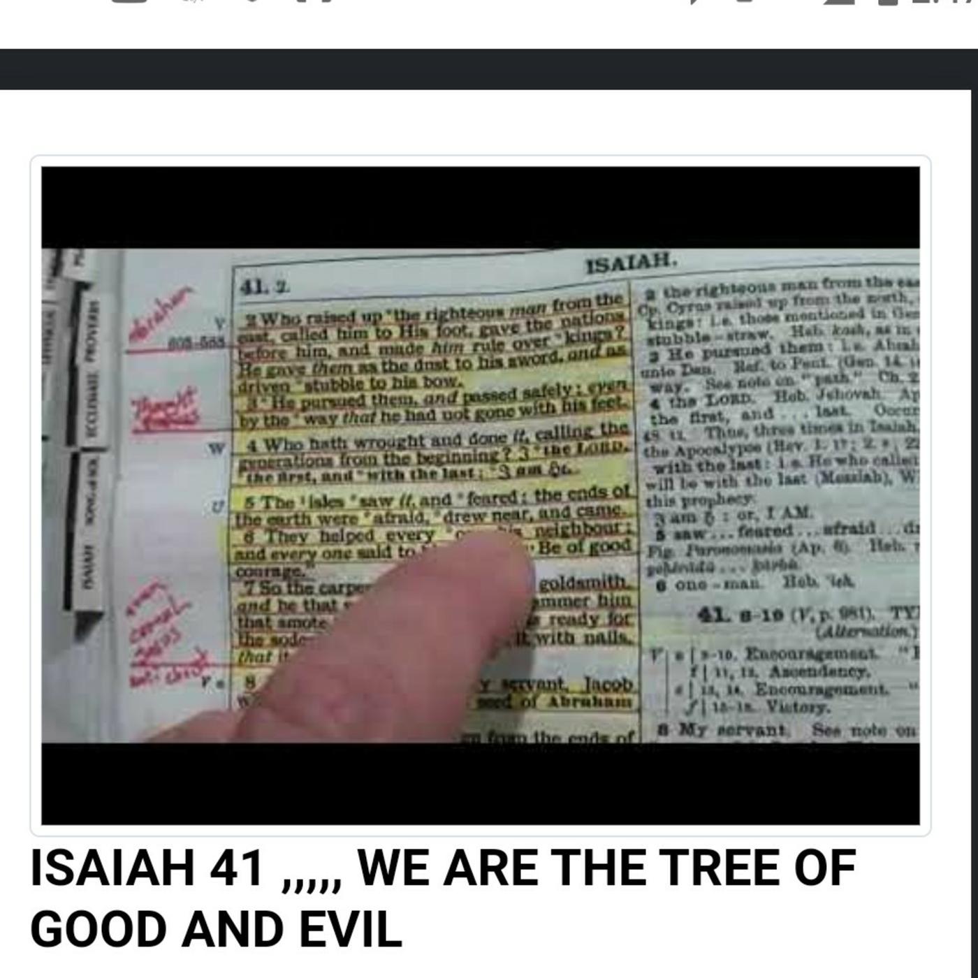 ISAIAH 41 ,,,,, WE ARE THE TREE OF GOOD AND EVIL - Redesigning Destiny ...