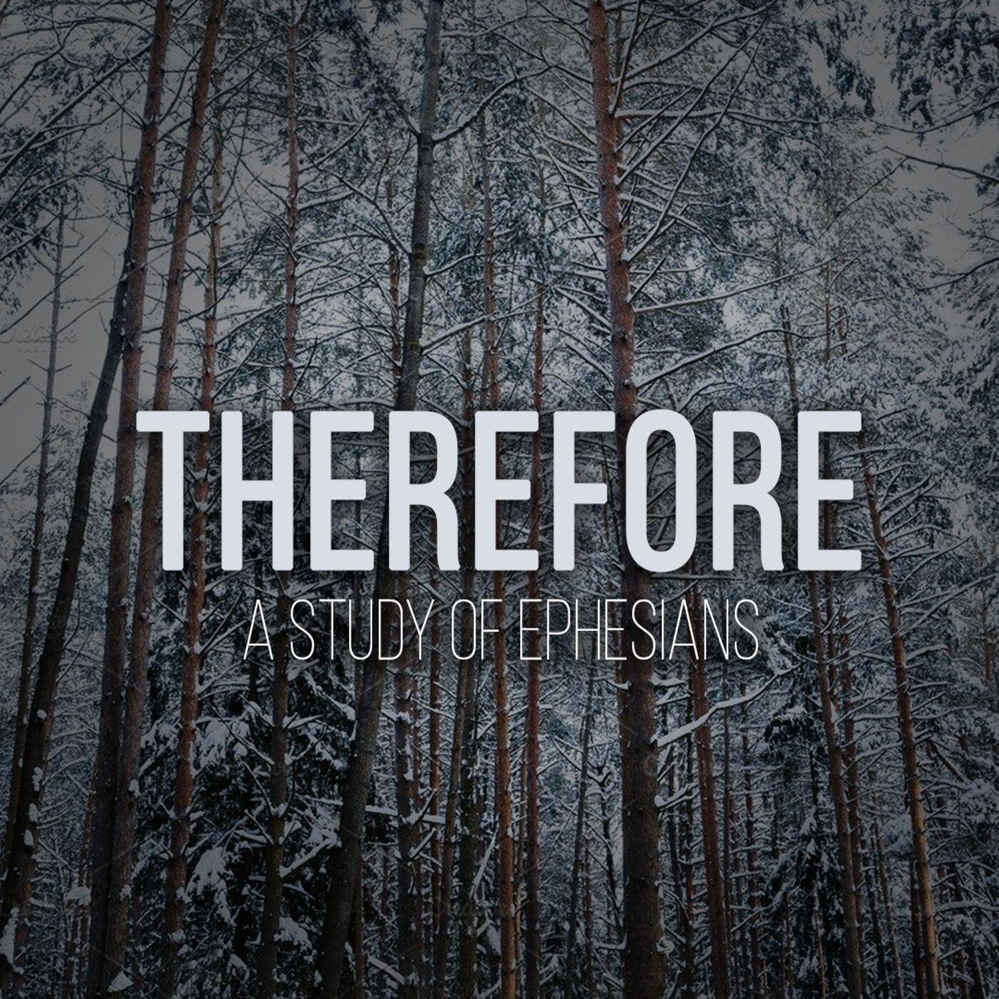 The Christian Life (Ephesians 5:15-21) | Caleb Nance | Listen Notes