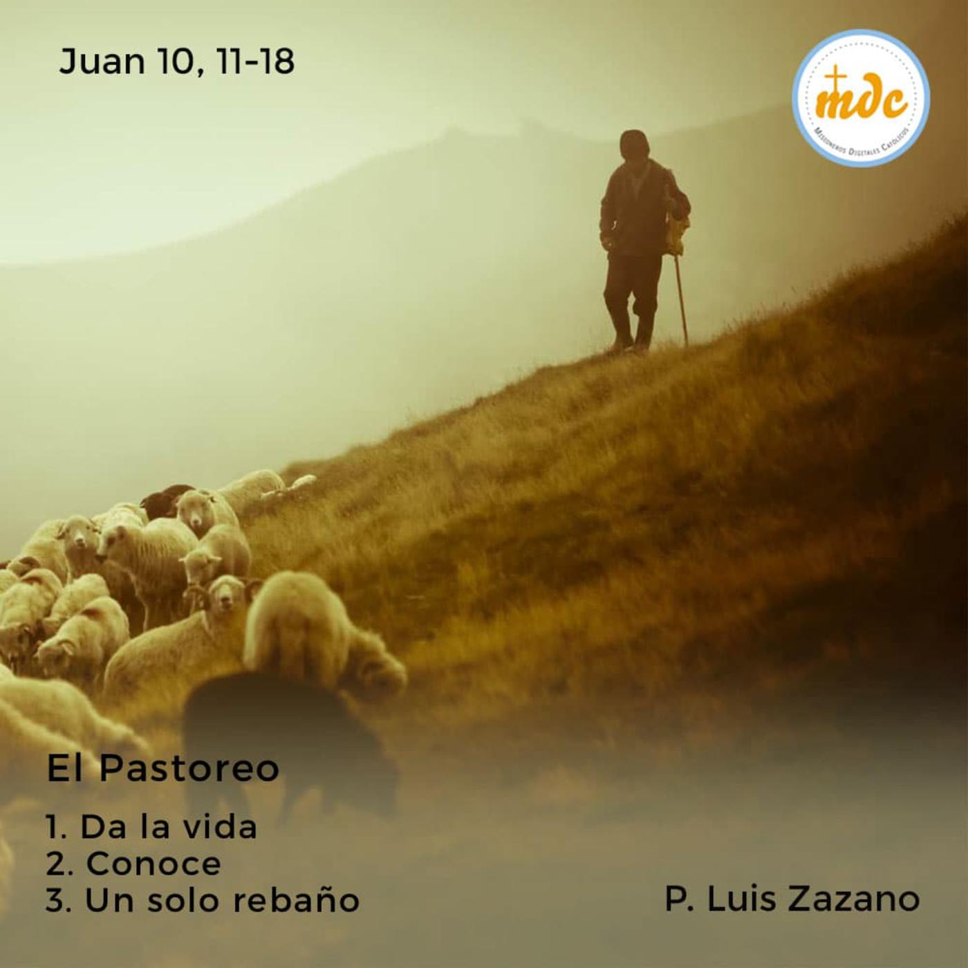 Juan 10, 11-18 - Reflexión diaria del Evangelio por el P. Luis Zazano ...
