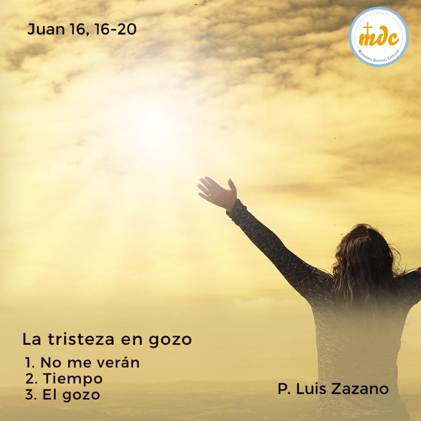 Juan 16, 16-20 - Reflexión diaria del Evangelio por el P. Luis Zazano ...