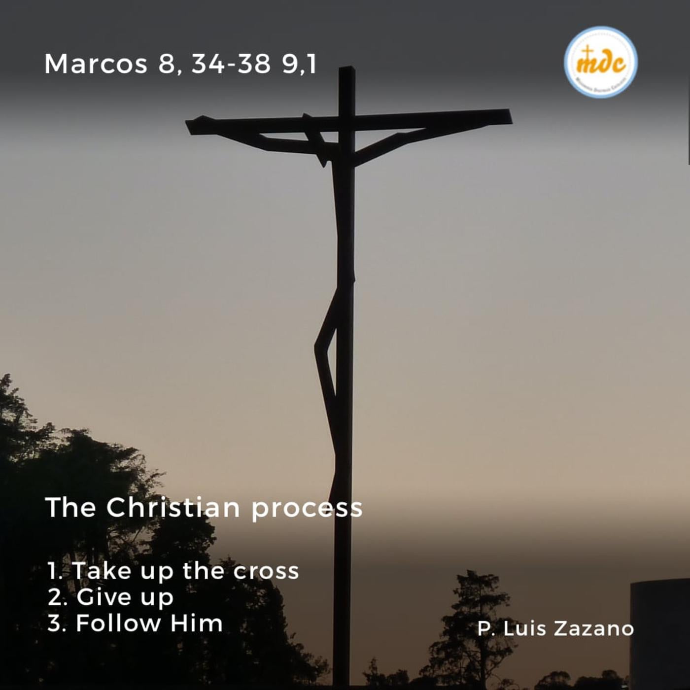 Marcos 8, 34-38. 9,1 - Reflexión diaria del Evangelio por el P. Luis ...