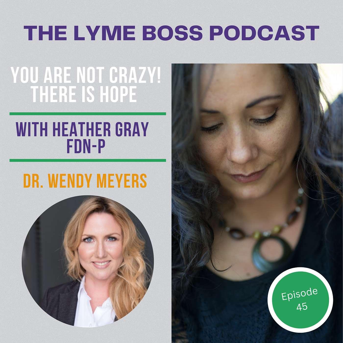 The Lyme Boss with Wendy Meyers. Are you Toxic? - Renegade Health Boss ...