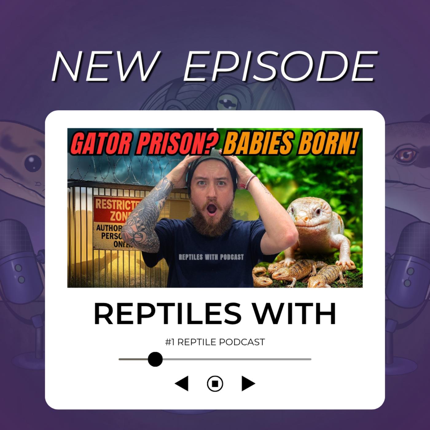 FWC CAUGHT ME! Gecko Abuser & Daytona National Reptile Breeders Expo Recap | Reptiles With ...